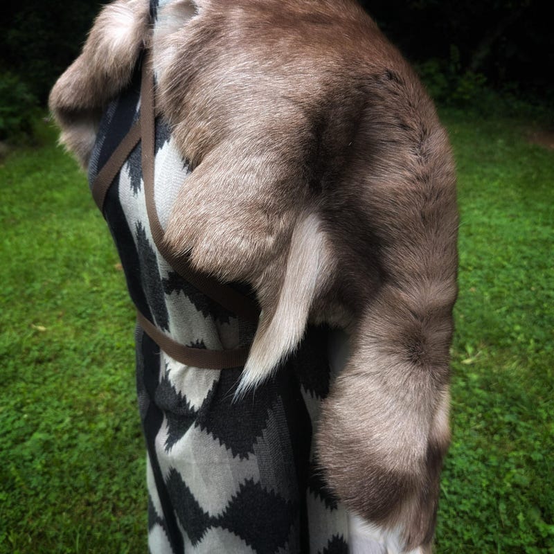 Real Reindeer Hides - Etsy