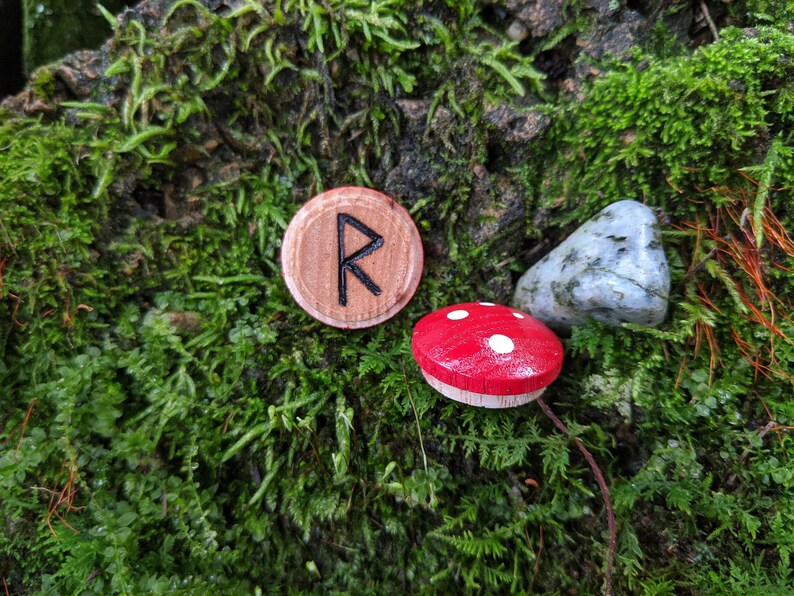 Mushroom Red Wood Rune Set Maple Norse Box Hand Painted - Etsy