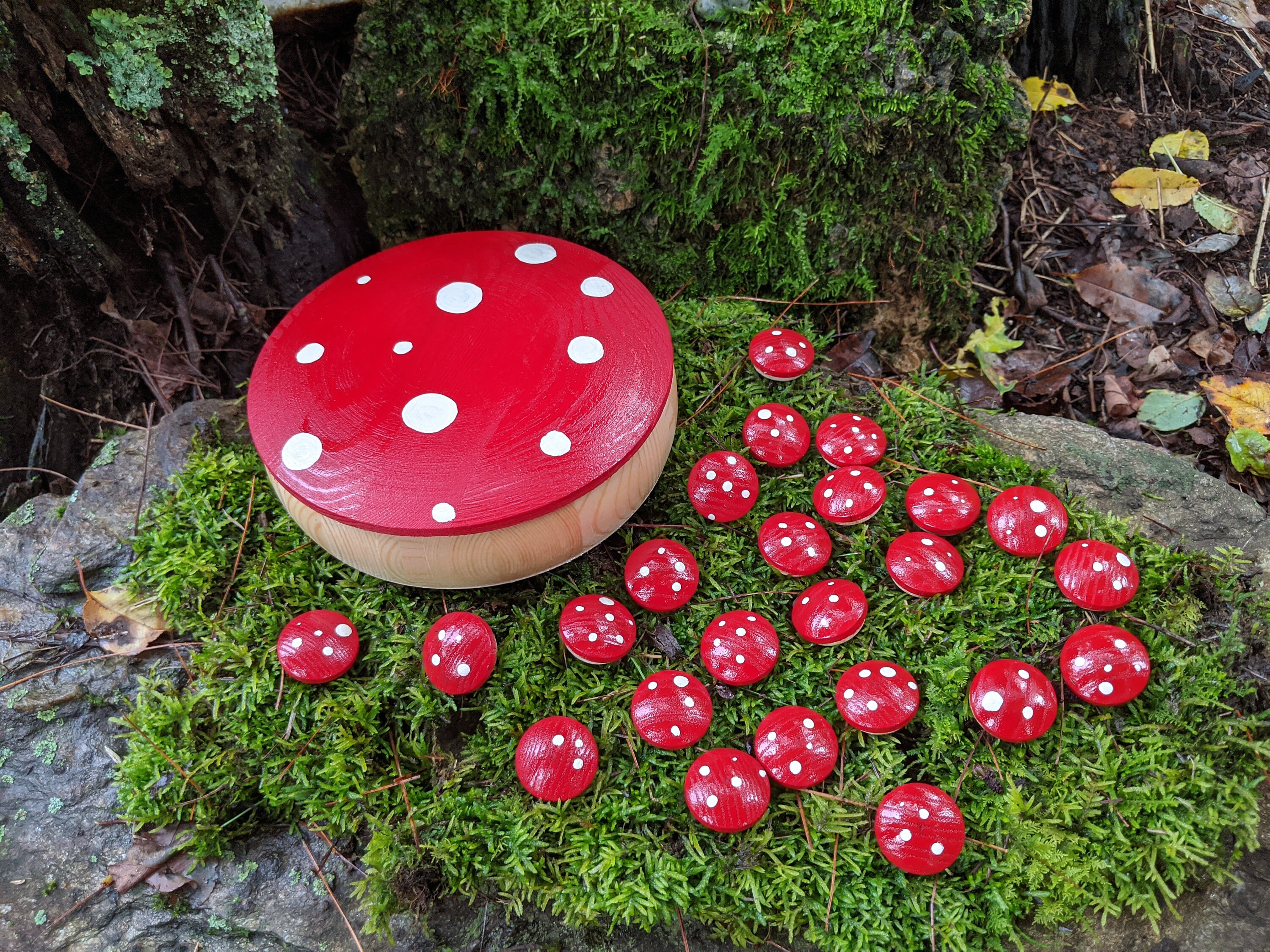 Mushroom Red Wood Rune Set Maple Norse Box Hand Painted - Etsy