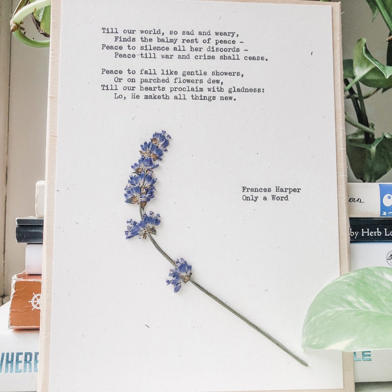 Frances Harper, Only a Word; Pressed Flower Art Herbarium, Vintage ...