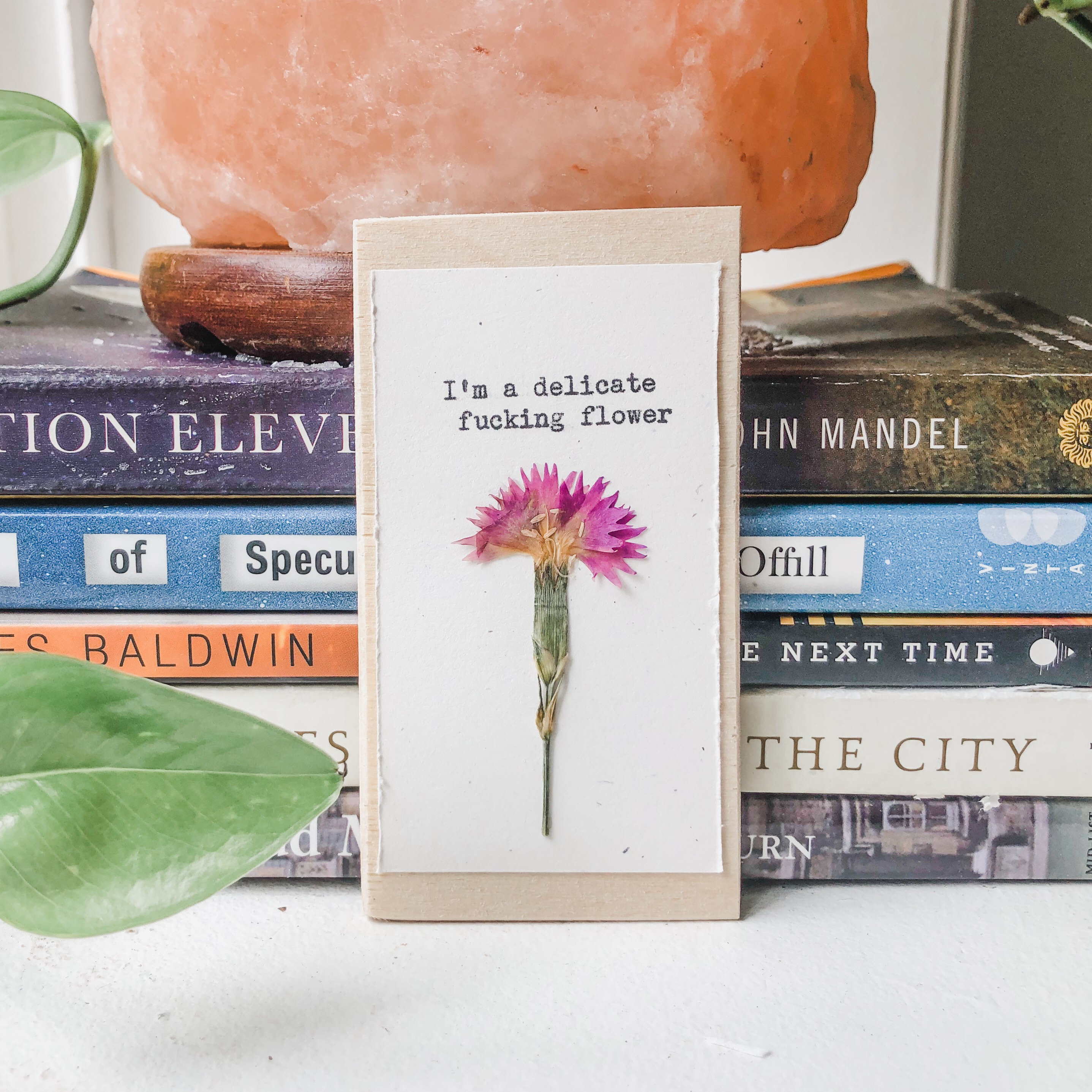 I’m a Delicate Fucking Flower; Funny Gift, Typewriter Art, Pressed ...