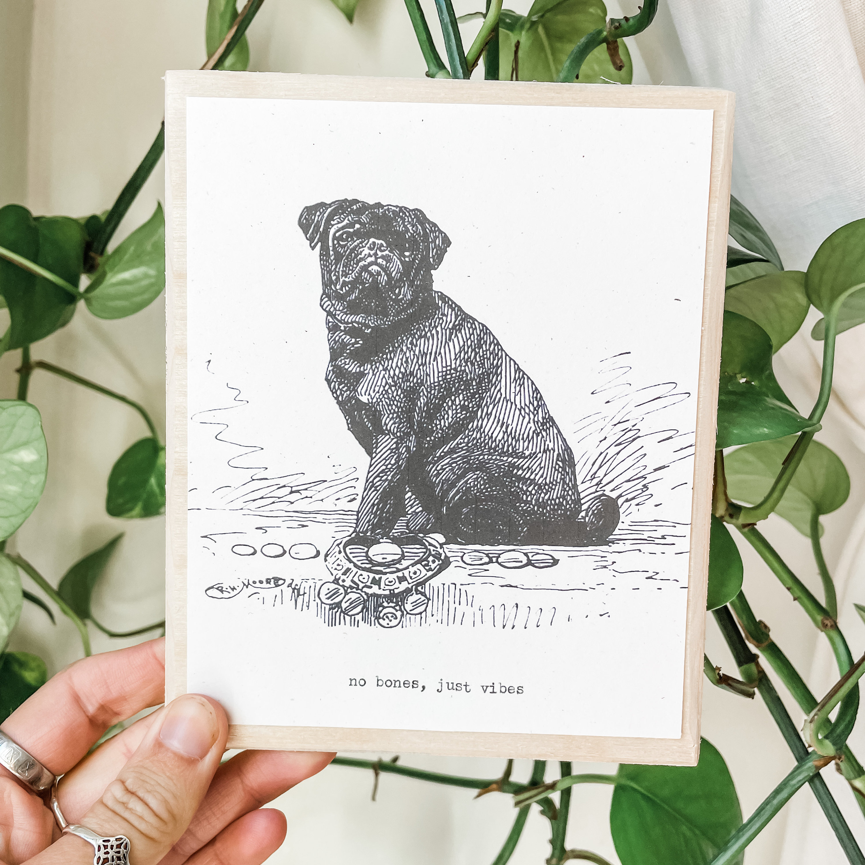 No Bones Day Bones Day Noodle the Pug Tik Tok Trend Tik - Etsy