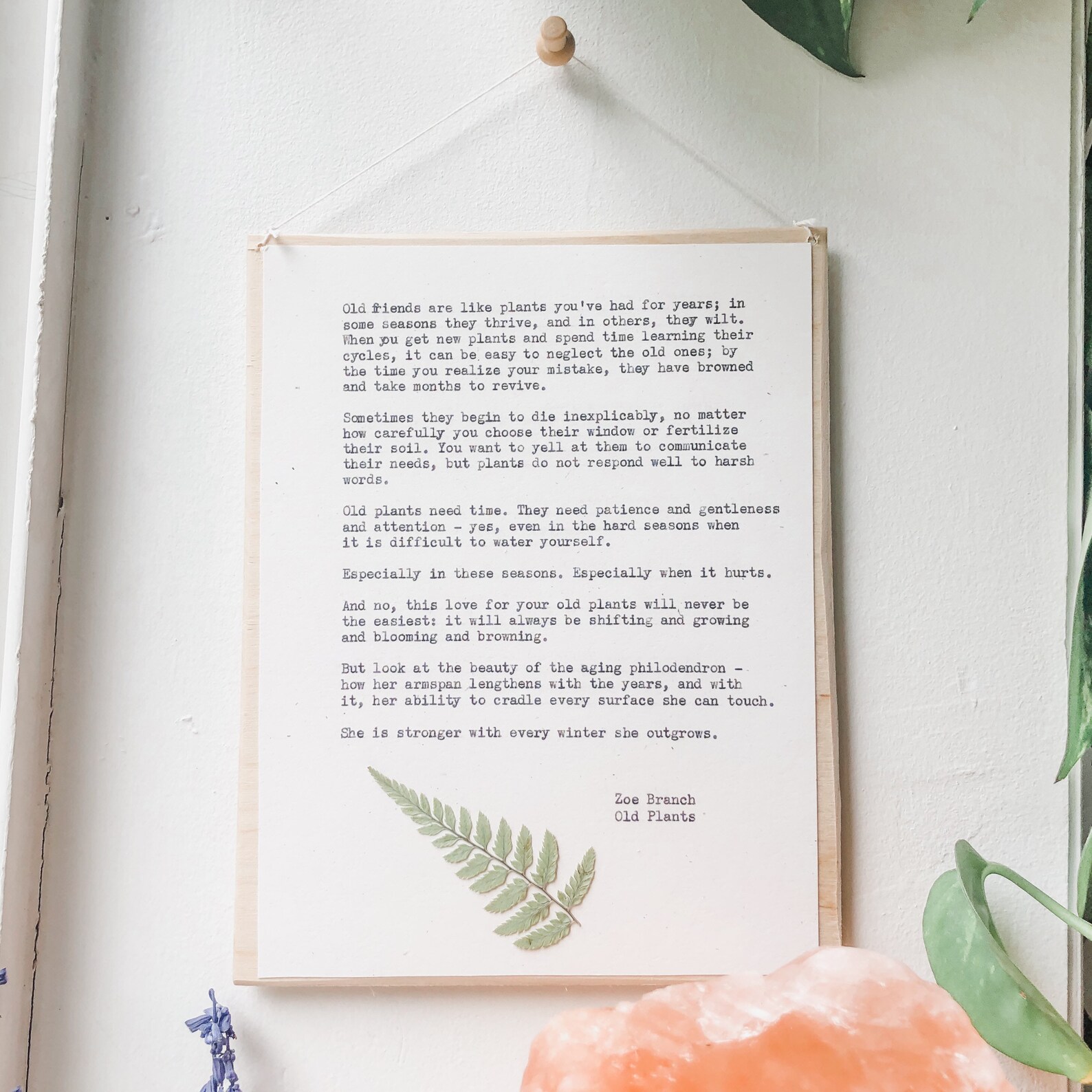 Zoe Branch, Old Plants; Original Artwork, Typewriter Art, Pressed ...