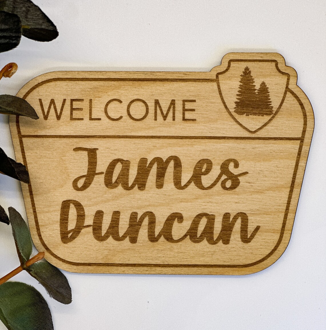 Custom Newborn State Park Name Sign Camping Baby Shower Decor National ...