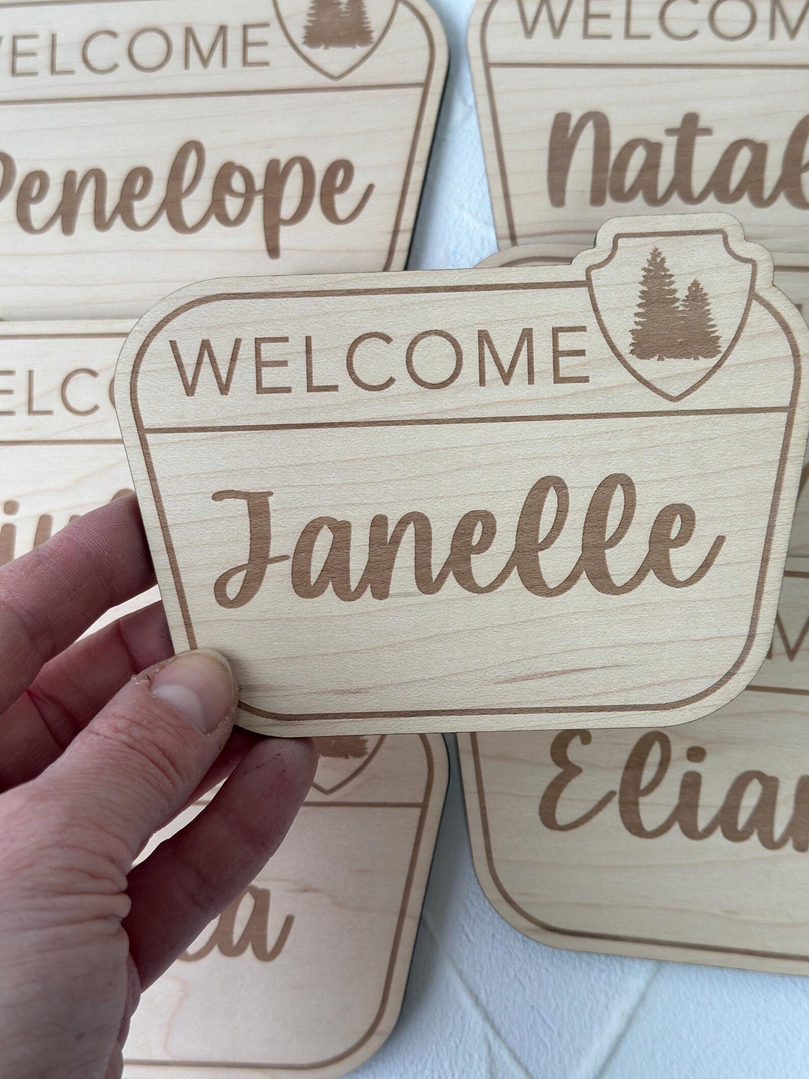 Custom Newborn State Park Name Sign Camping Baby Shower Decor National ...
