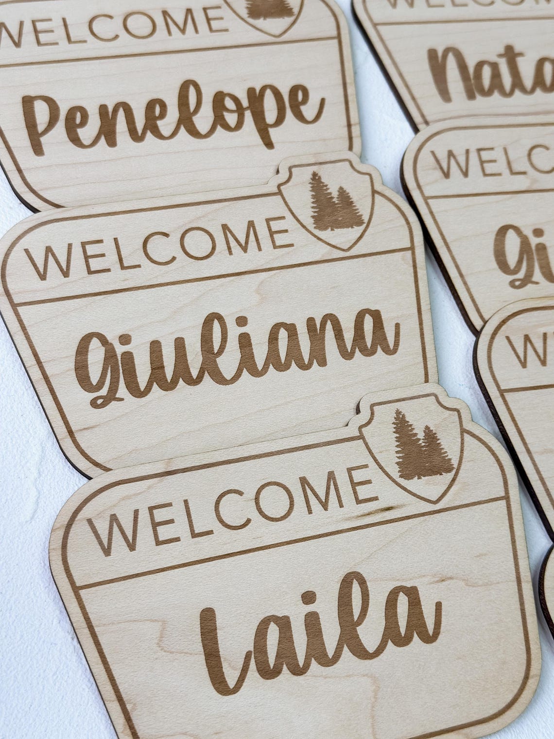Custom Newborn State Park Name Sign Camping Baby Shower Decor National ...