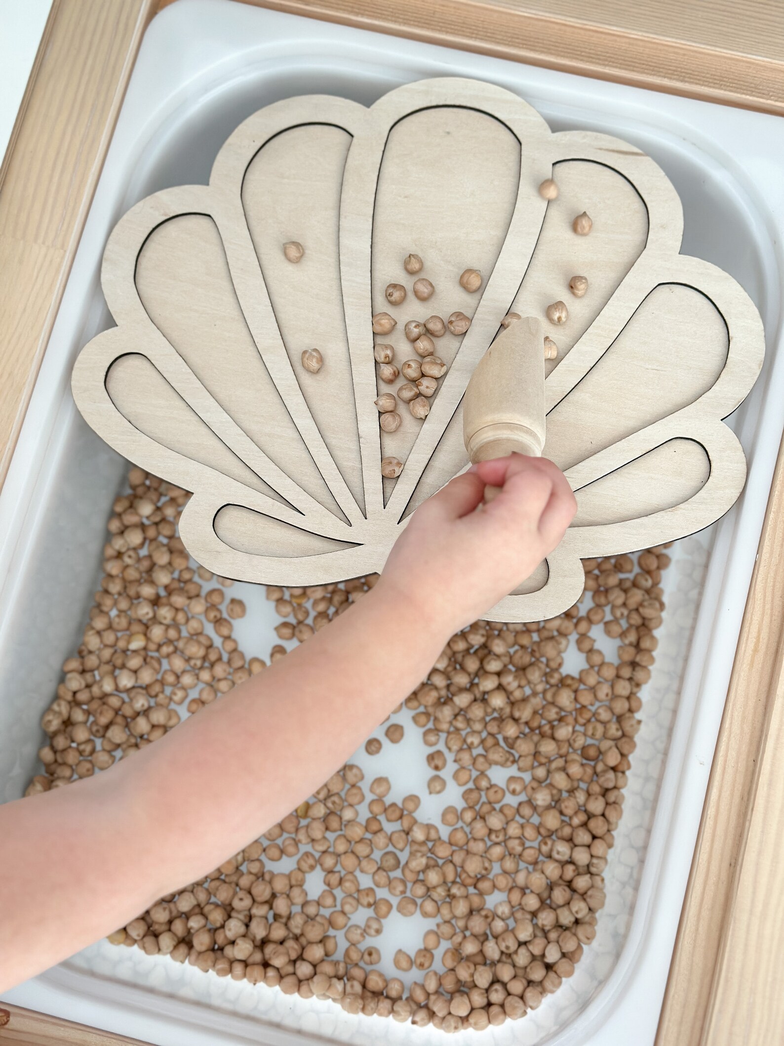 Montessori Preschool Sensory Bin Insert Tinker Tray Sensory Table Shell ...