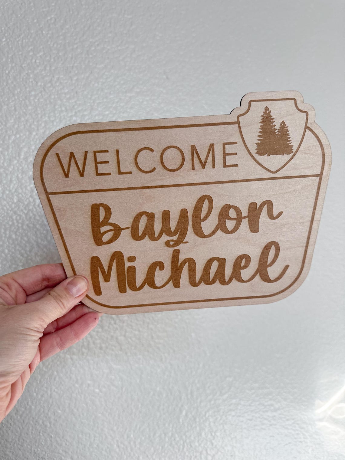 Custom Newborn State Park Name Sign Camping Baby Shower Decor National ...