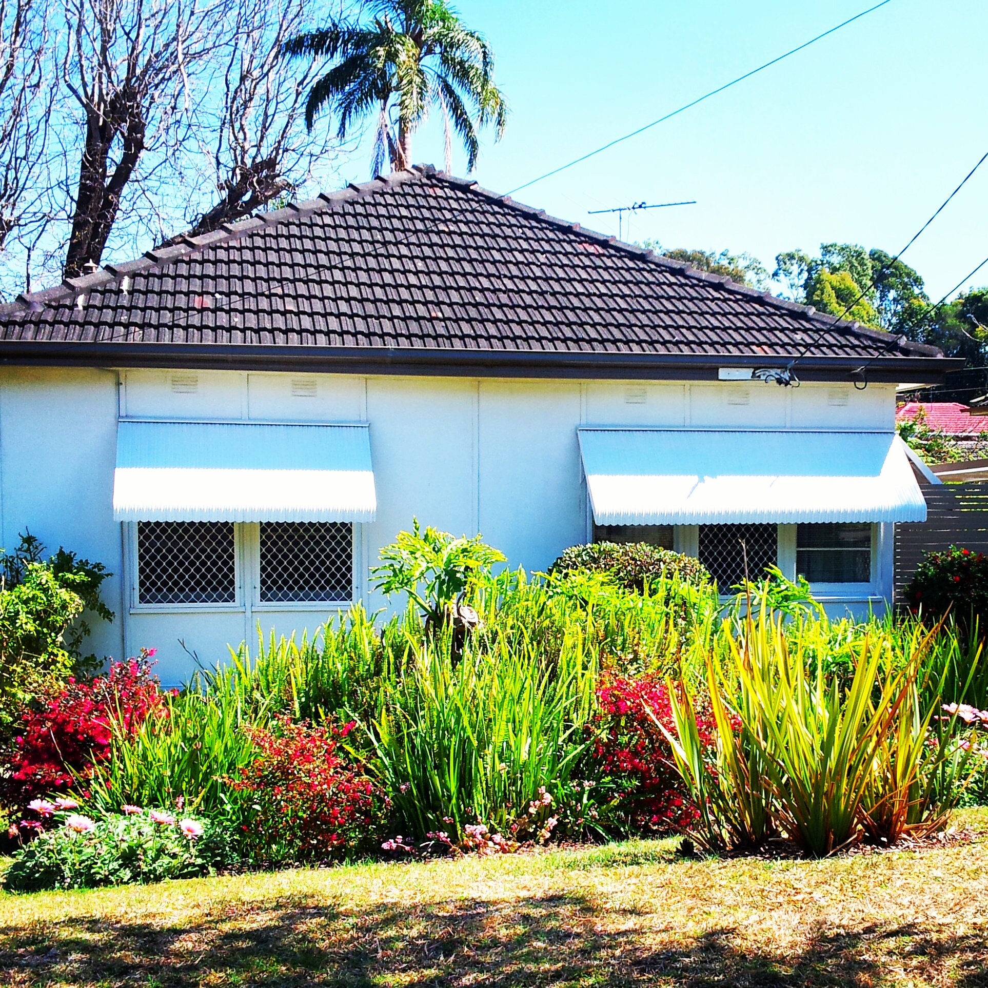 Unrepentant Lover of Fibro Houses : Van Dyke Prefabs. - Etsy