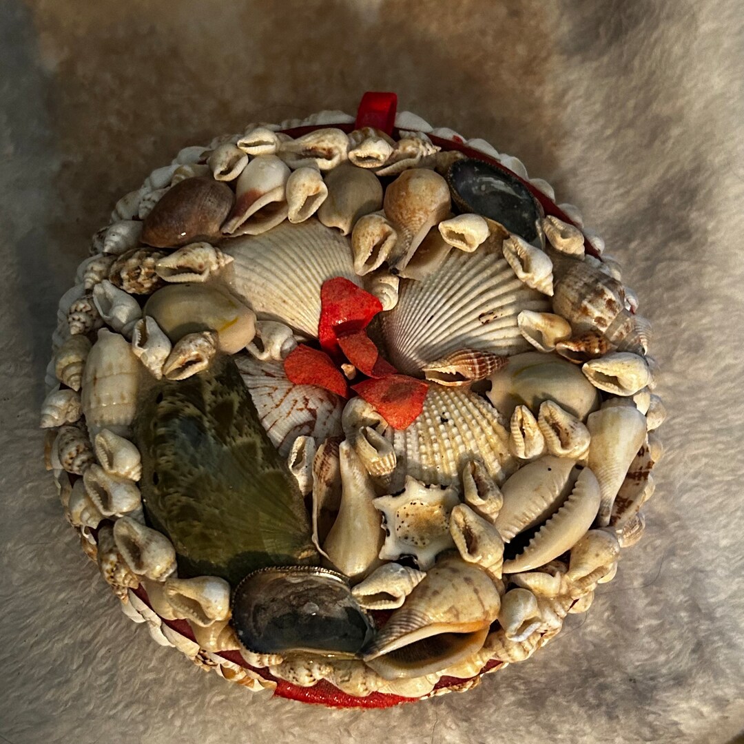 Vintage Seashell Trinket Box: Nautical Jewelry Box - Etsy