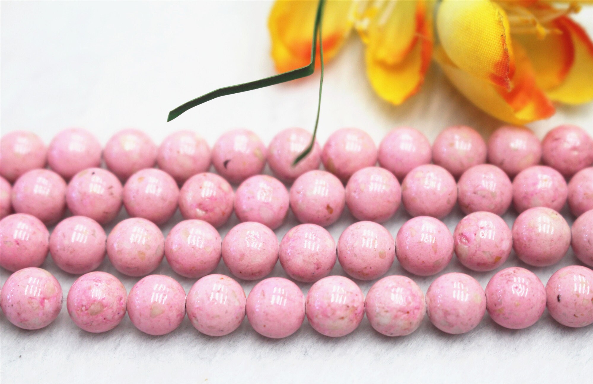Pink Fossils Smooth Round Beads 4mm 6mm 8mm 10mm 12mm Fossils - Etsy UK