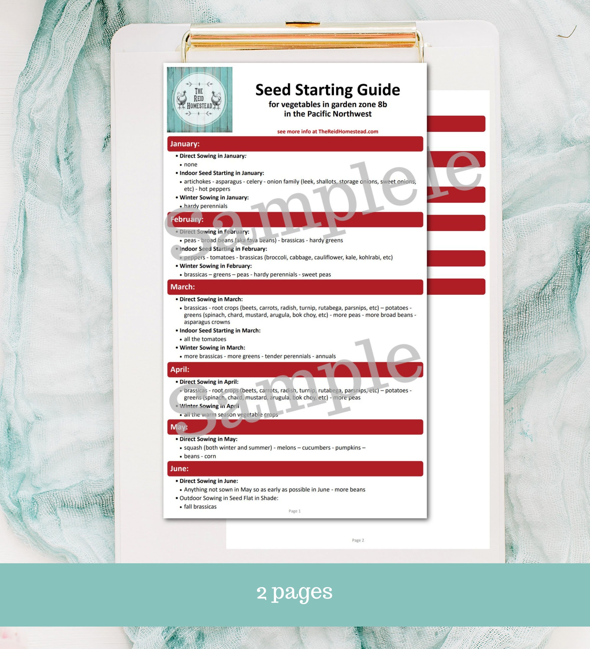 Seed Starting Guide Printable Bundle | Tips and Calendar for Starting ...