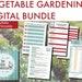 Vegetable Gardening Printable Bundle Tips and Calendar for Starting ...