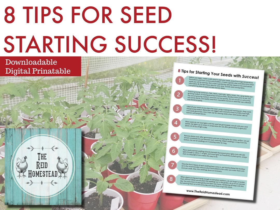 Indoor Seed Starting Guide | Tips for Starting Seed | Vegetable ...