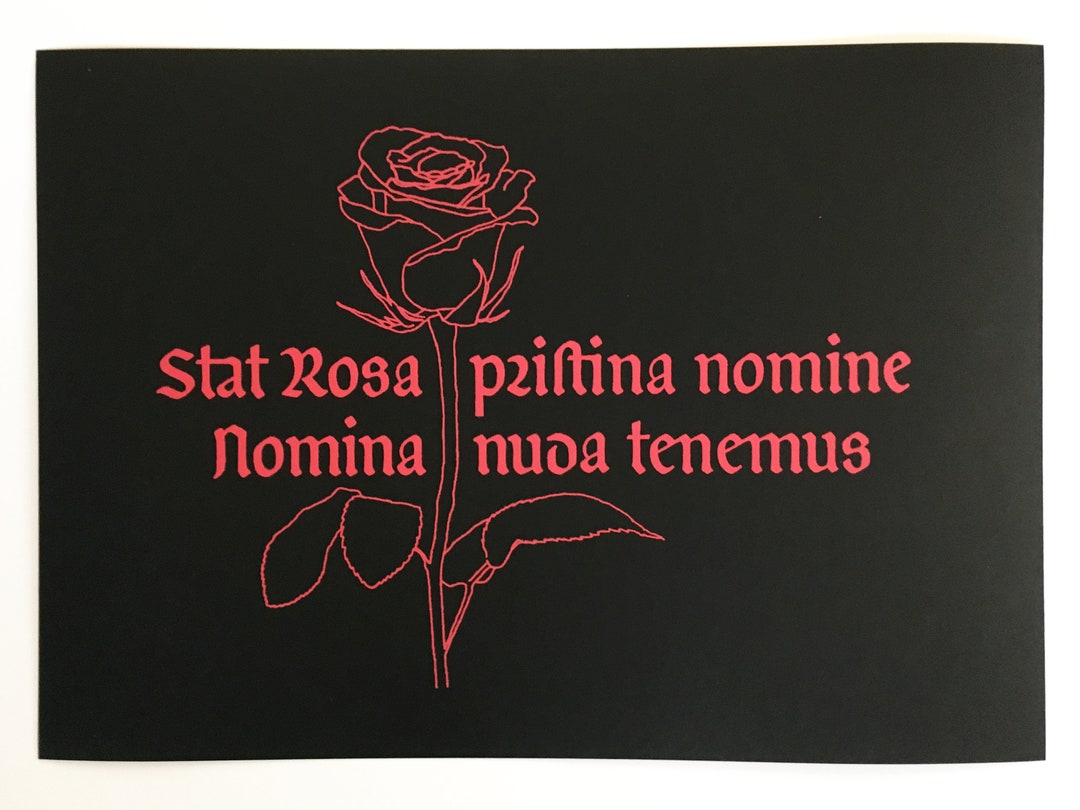 Screenprint stat Rosa... Latin Quote - Etsy