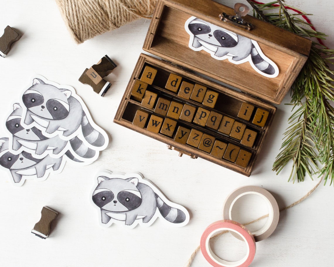 Chubby Raccoon Sticker Cute Illustration Sticker for Water - Etsy