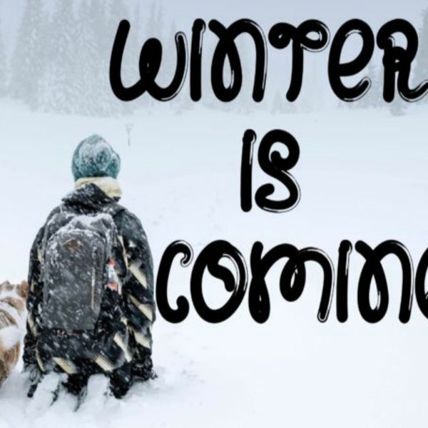 Winter is Coming - Etsy