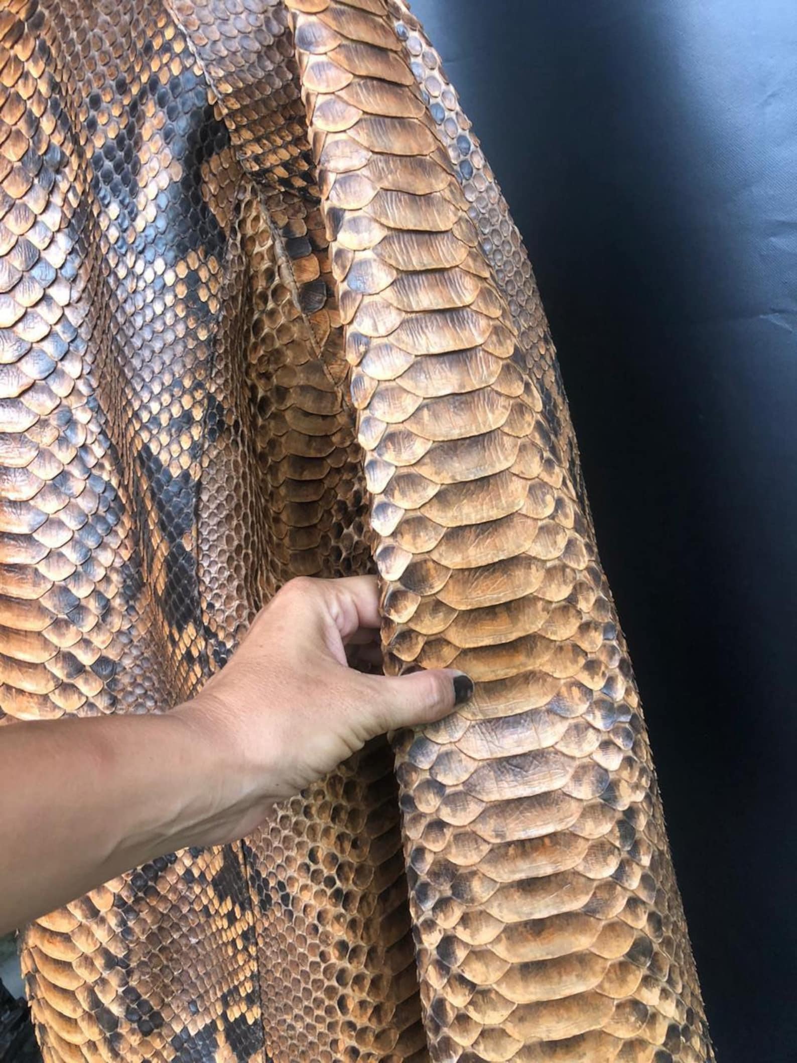 Woman's Dragon Python Coat Snakeskin Coat Python Leather - Etsy