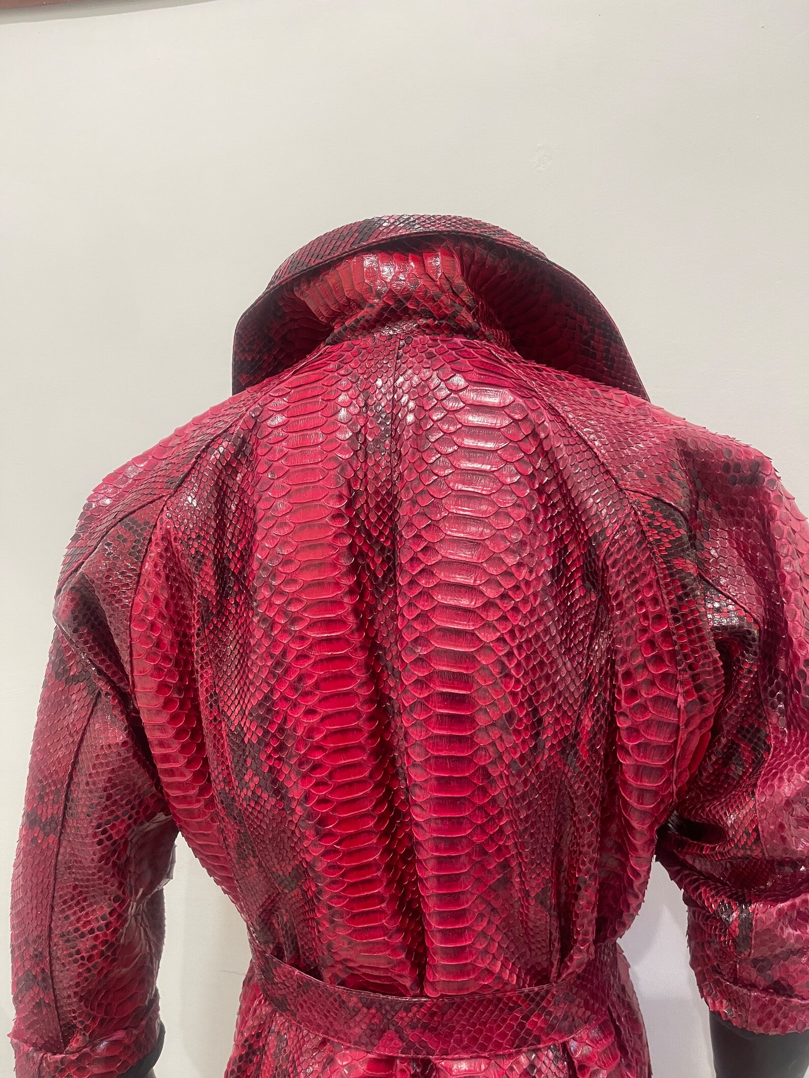 Man’s Snakeskin Coat, Dragon Python Leather Coat, Man’s Red Leather ...