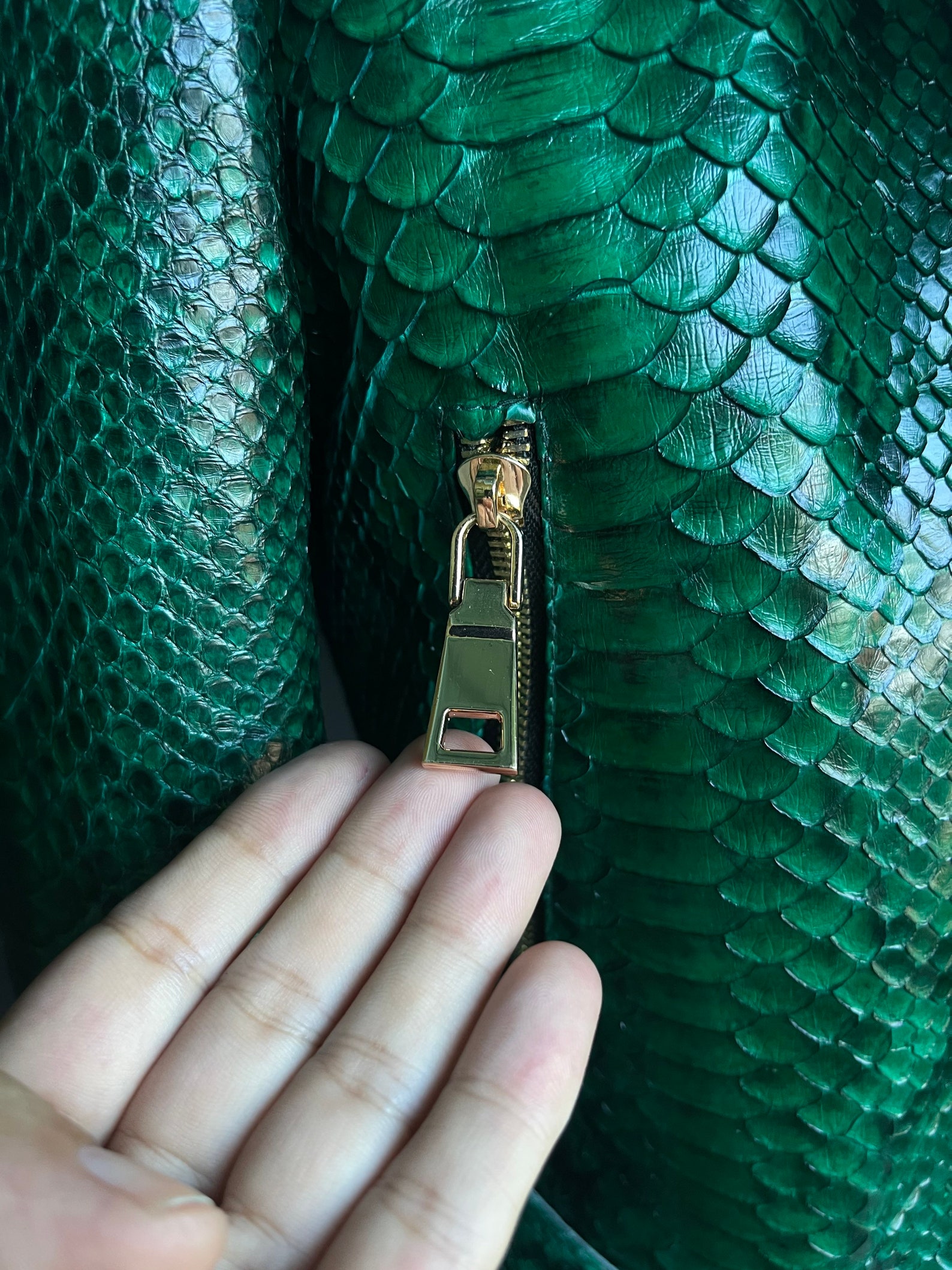 Green Snakeskin Jacket Womens Python Leather Jacket Glossy | Etsy