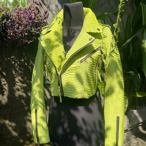 Green Snakeskin Jacket Womens Python Leather Jacket Glossy - Etsy