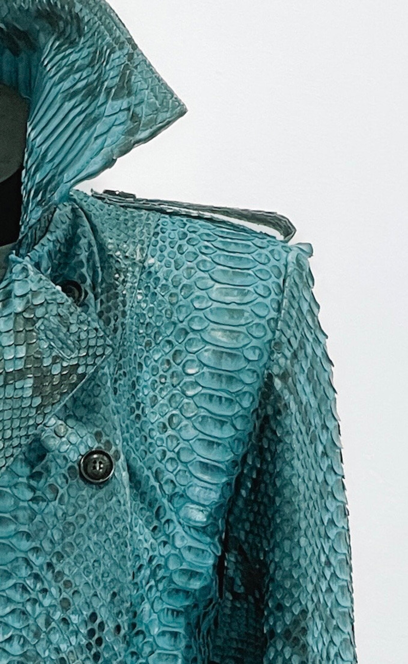 Men’s Snakeskin Trench Coat, Dragon Python Leather Men’s Coat, Men’s ...