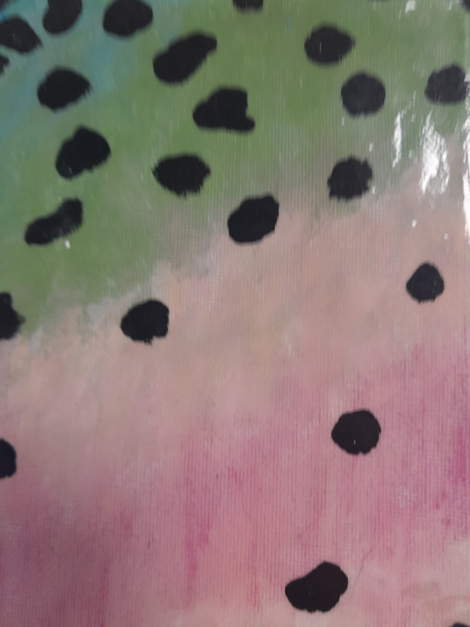 Acrylic Painting of Rainbow Trout Skin Pattern. Canvas Substrate ...