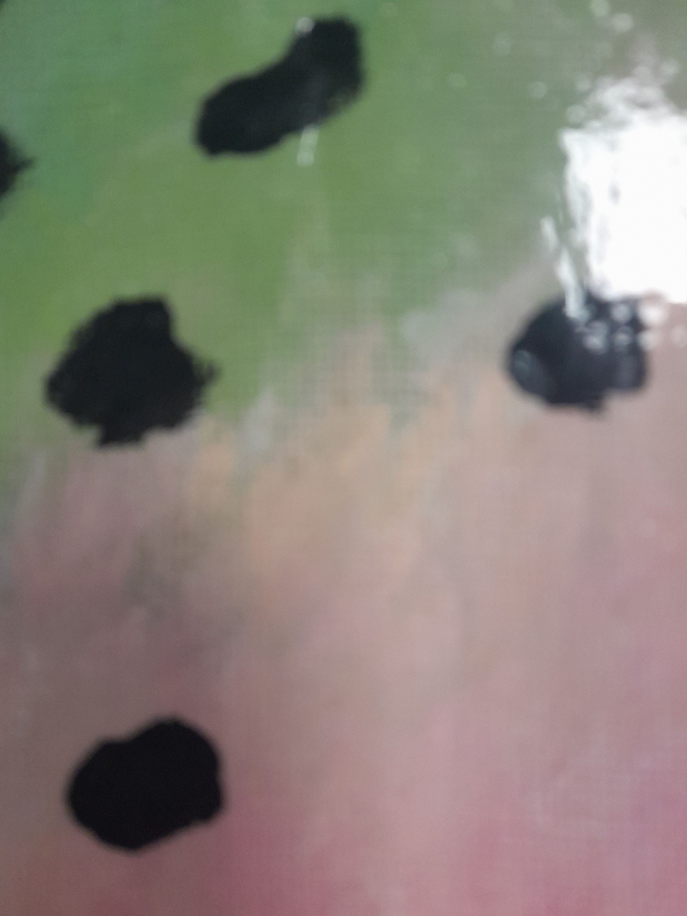 Acrylic Painting of Rainbow Trout Skin Pattern. Canvas Substrate ...