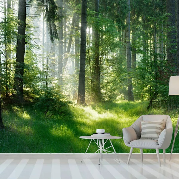 Large Wall Murals Forest - Etsy