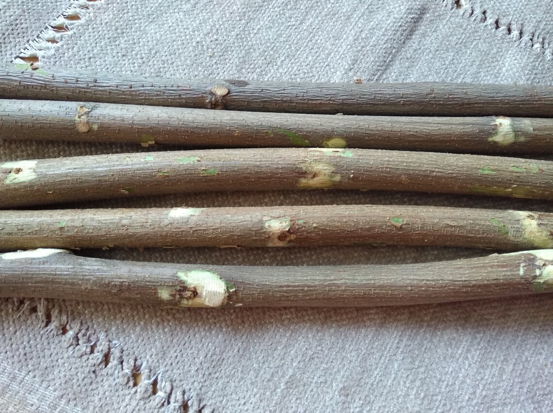 Wood Wand Acacia Tree, Wand Carving Wood Sticks, Magic Wicca, Celtic ...