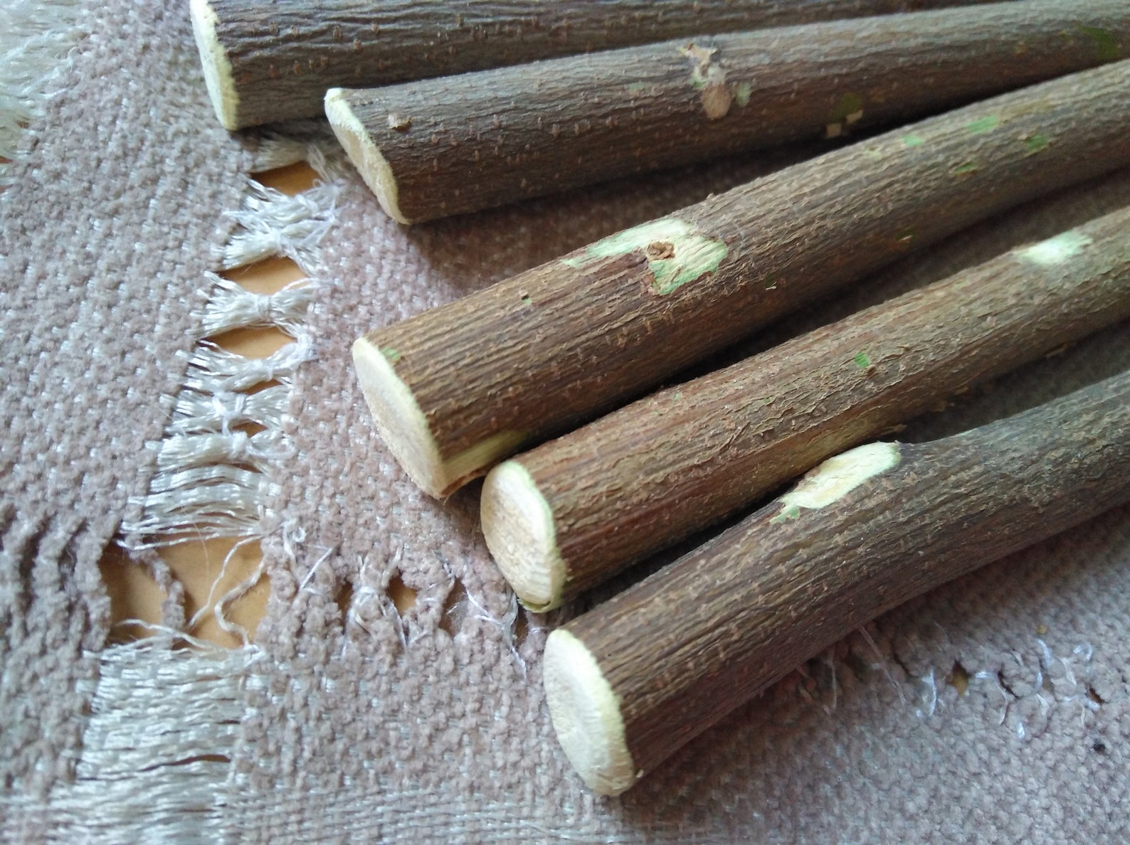 Wood Wand Acacia Tree, Wand Carving Wood Sticks, Magic Wicca, Celtic ...