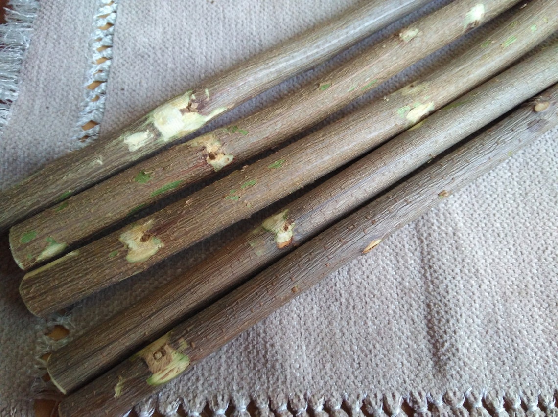Wood Wand Acacia Tree, Wand Carving Wood Sticks, Magic Wicca, Celtic ...