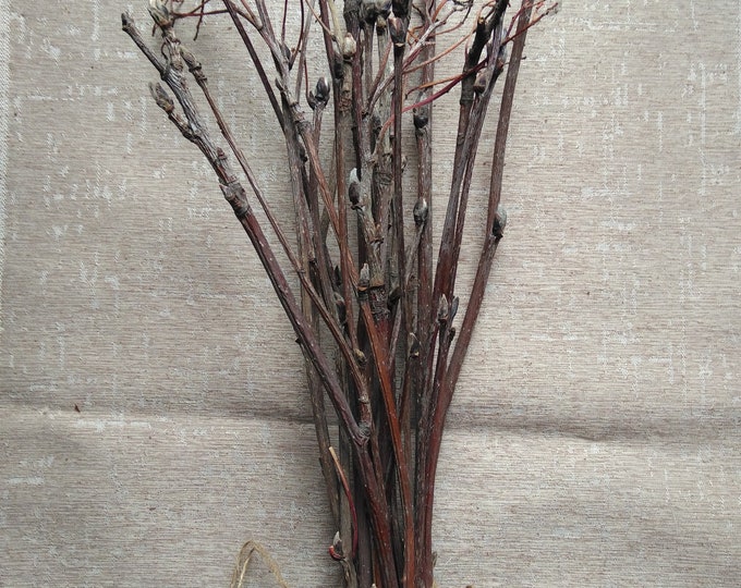 Rowan Branches, Home Decor. 25 Dried Branches 12 Inch, Wood Decor ...