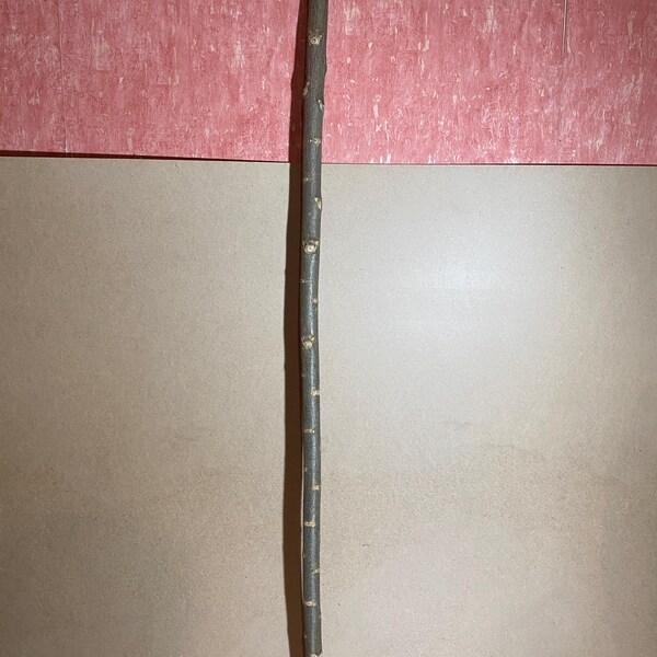 Wood Staff - Etsy