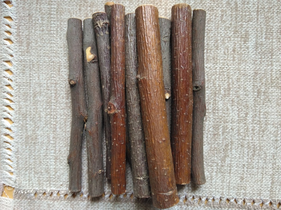 Magic Rowan Sticks. 6 ". 10pcs. Magic Wand. Mountain Ash. the Sacred ...