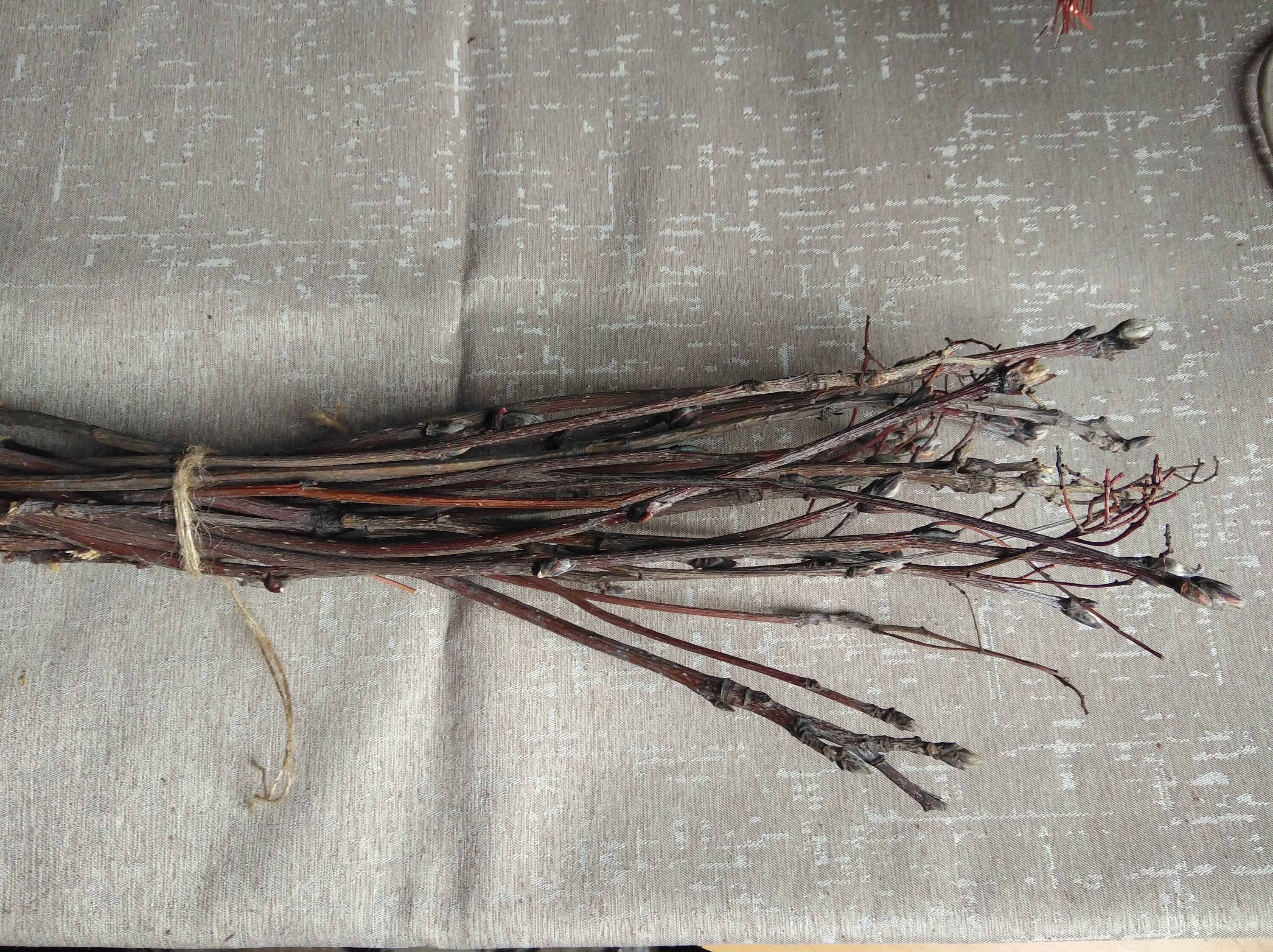 Rowan Branches, Home Decor. 25 Dried Branches, Wood Decor, Natural Wood ...
