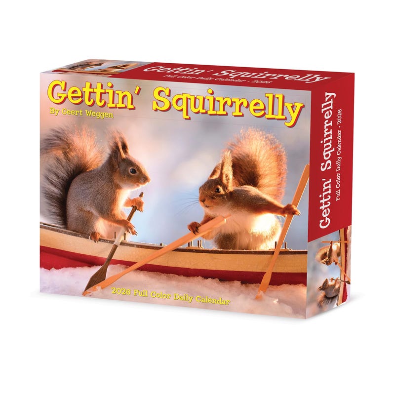 Squirrel Boxes - Etsy