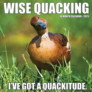 Wise Quacking 2025 12" X 12" Wall Calendar - Etsy