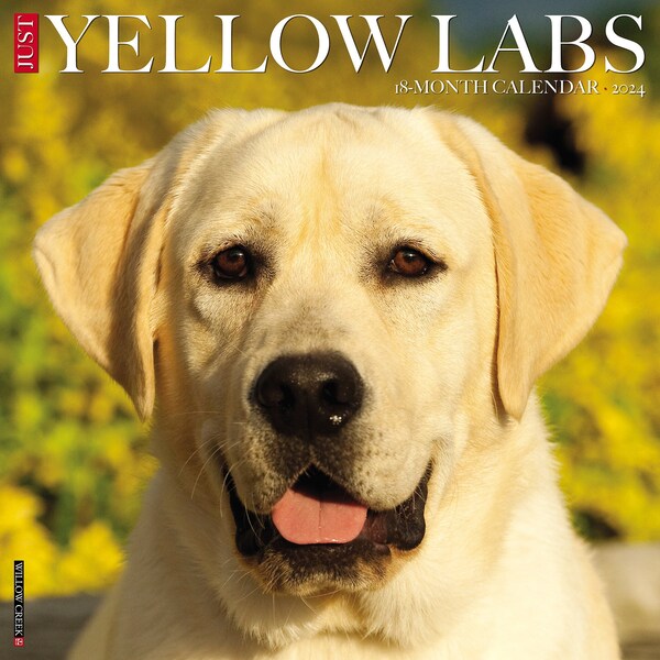 Yellow Lab - Etsy