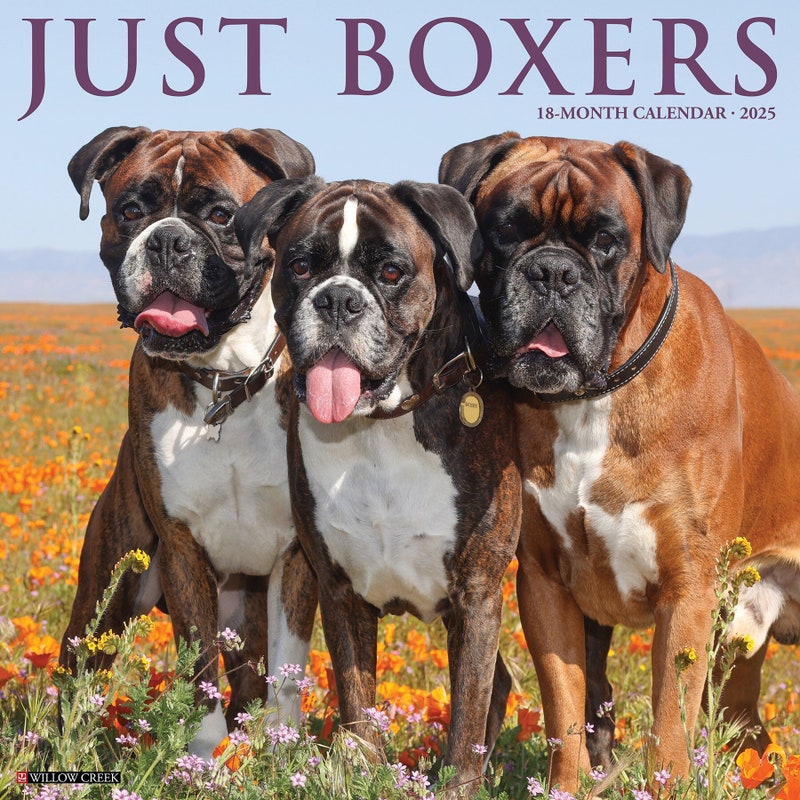 Boxer Dogs - Etsy