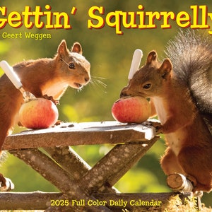 Gettin' Squirrelly 2025 6.2" X 5.4" Box Calendar - Etsy