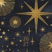 Celestial Planner Printable Landscape, Celestial Weekly Schedule ...