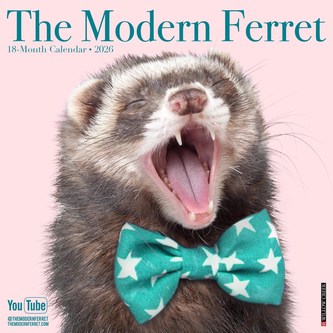 Modern Ferret (the) 2026 12" X 12" Wall Calendar - Etsy