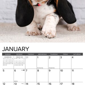 Basset Hound Puppies 2025 12" X 12" Wall Calendar - Etsy