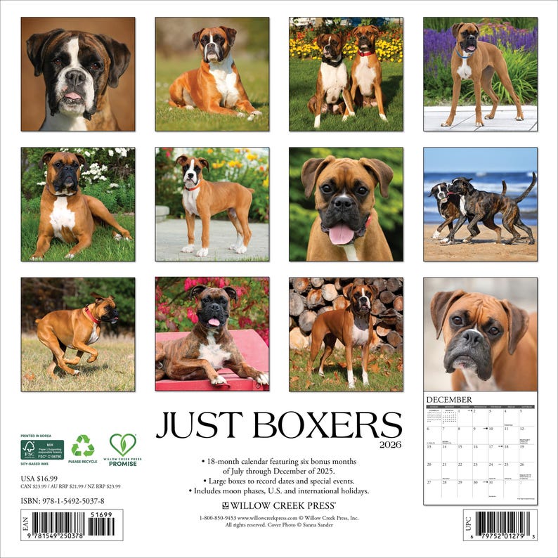 Boxers 2026 12" X 12" Wall Calendar - Etsy
