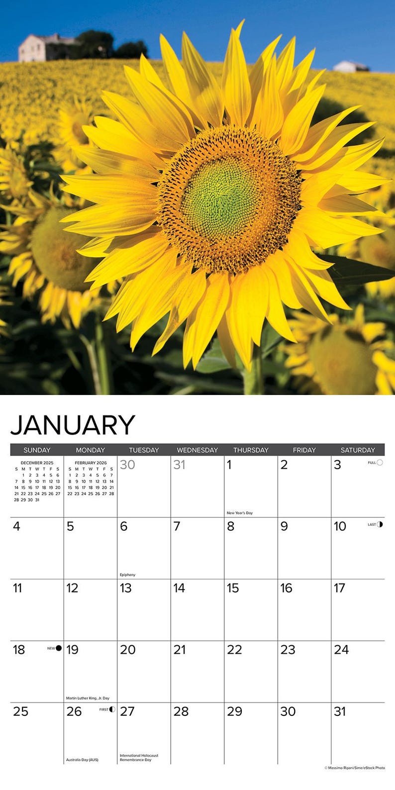 Sunflowers 2026 12" X 12" Wall Calendar - Etsy