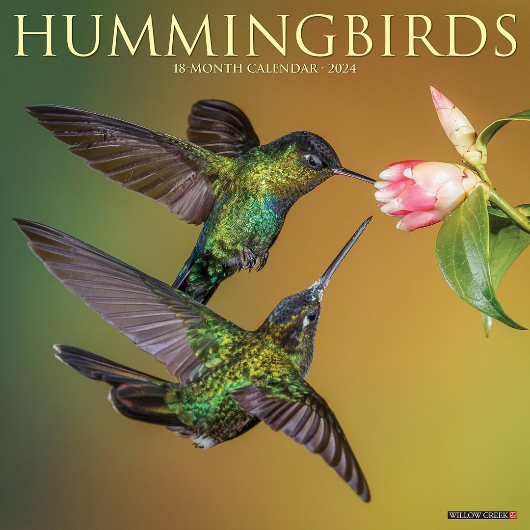 Hummingbirds 2024 12 X 12 Wall Calendar - Etsy