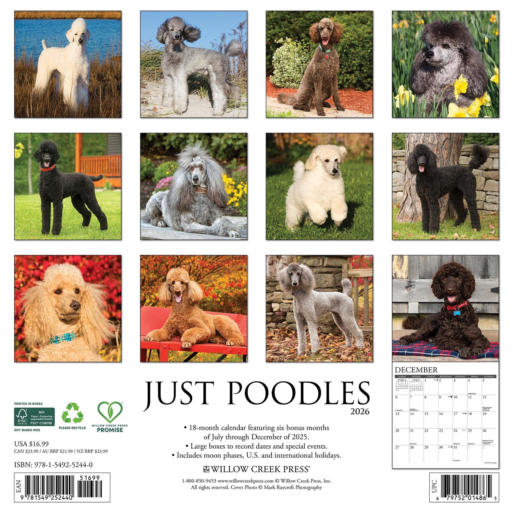 Poodles 2026 12" X 12" Wall Calendar - Etsy