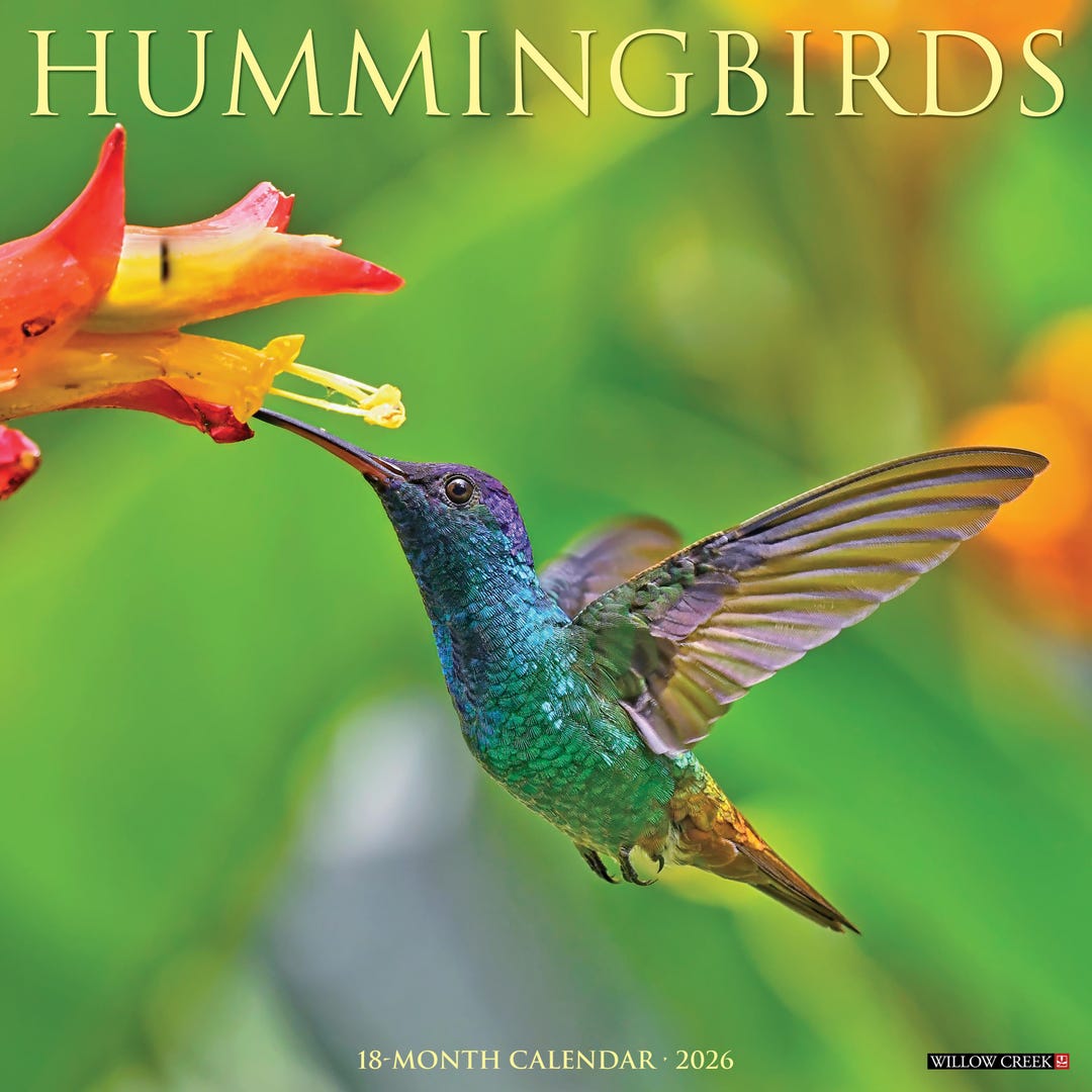 Hummingbirds 2026 12" X 12" Wall Calendar - Etsy
