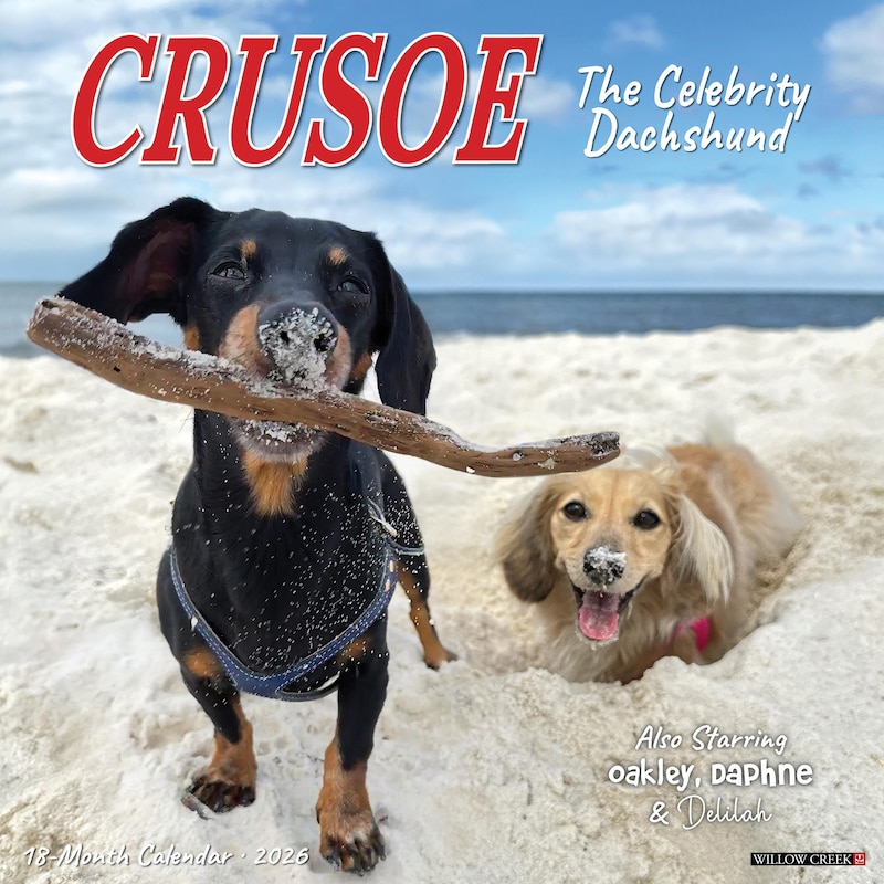 Dachshund 2026 Planner - Etsy